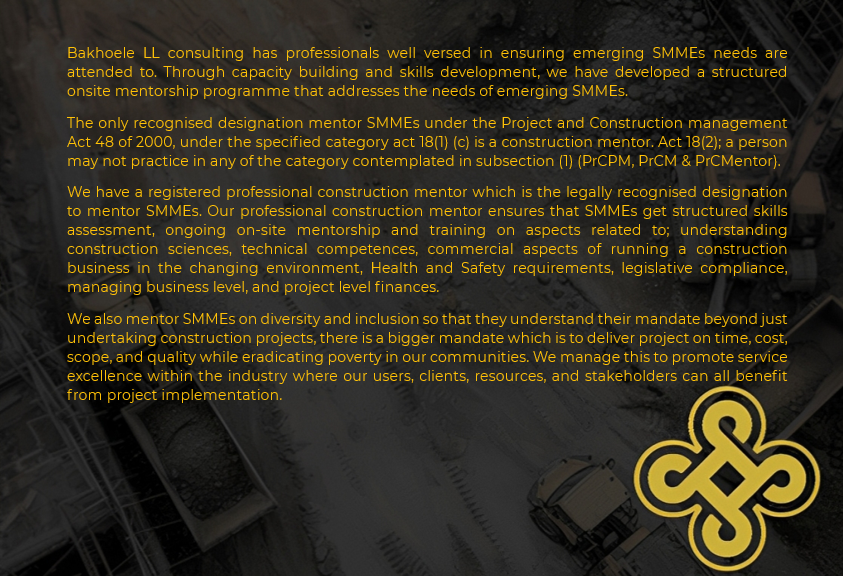 BAKHOELE LL CONSULTING
